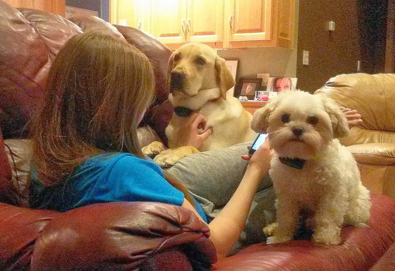 Half Past Kissin Time More Lab Love