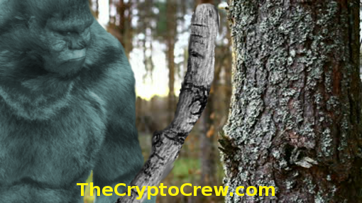 Wood Knocks From Harlan County ~ The Crypto Crew