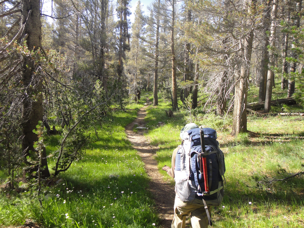 Kaweah Range Peak Cleanout: 6 Days & 9 Peaks Ending In A Fall - First ...