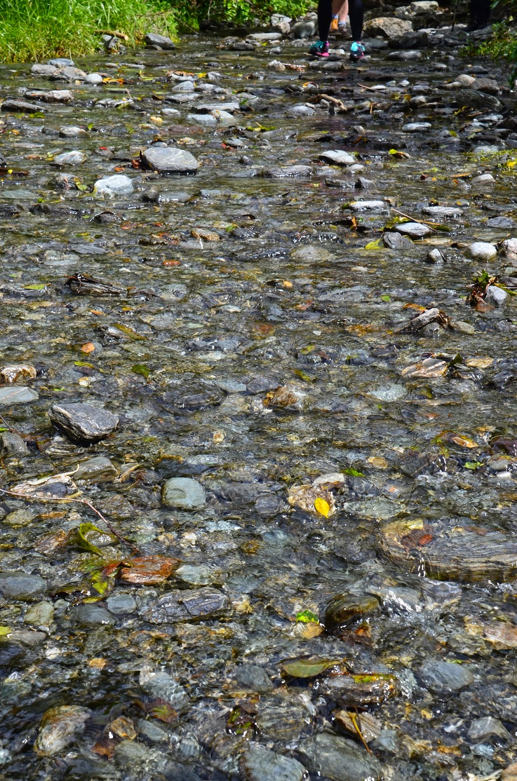 bwisegardening: Grief Is A River