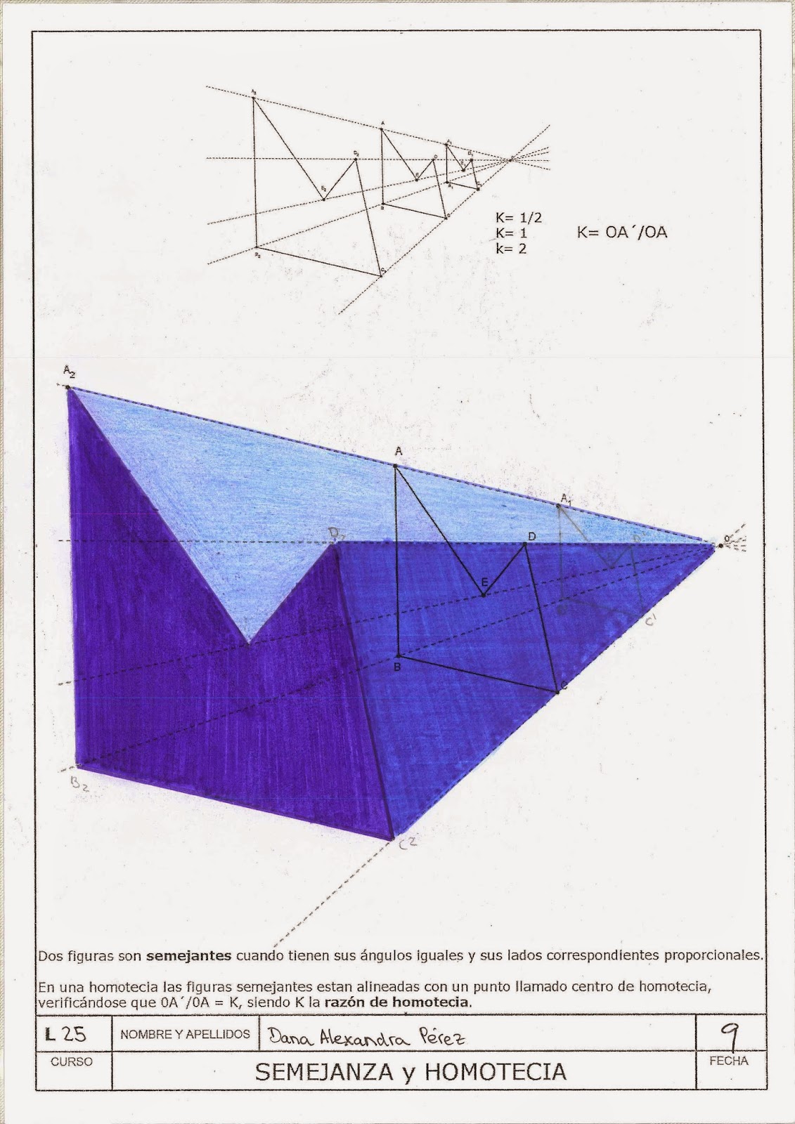 TRANSFORMACIONES GEOMÉTRICAS: HOMOTECIA | .imagenesola imagen y la ...