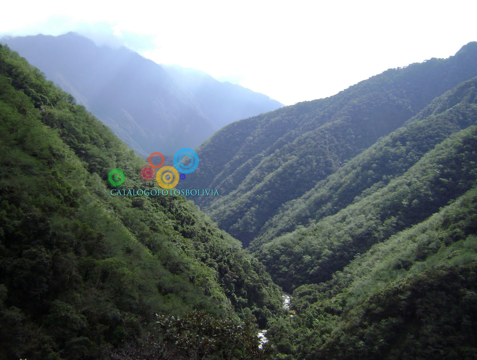 Catalogo de fotos Bolivia: Fotos: Coroico Bolivia