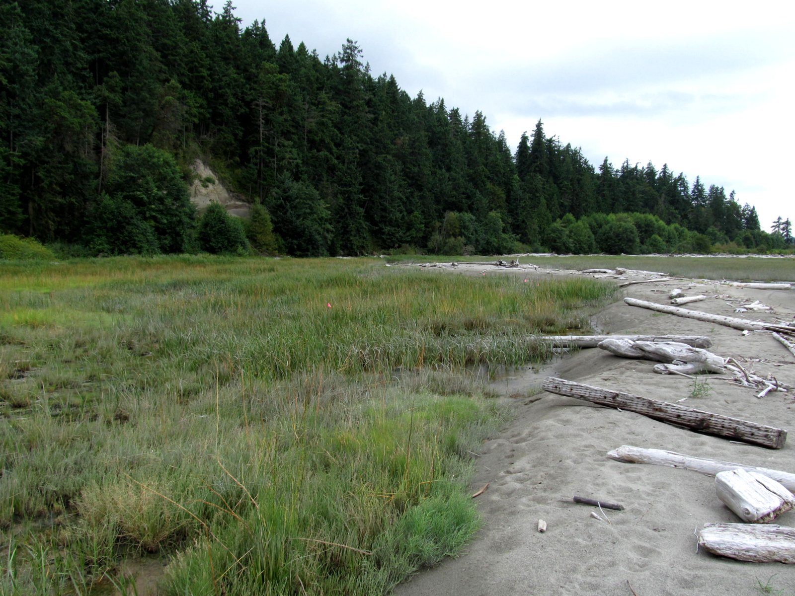 Gravel Beach: Livingston Bay