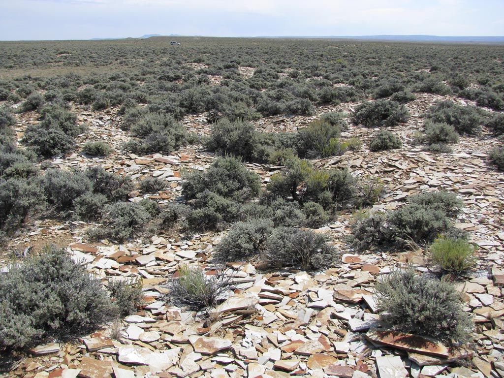 Views of the Mahantango: Farson Fossil Fish