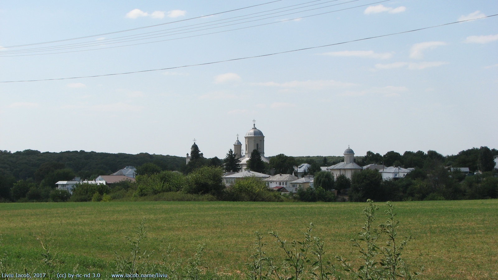 Traseu in Ilfov: Branesti (Padurea Pustnicu + Raul Pasarea ...
