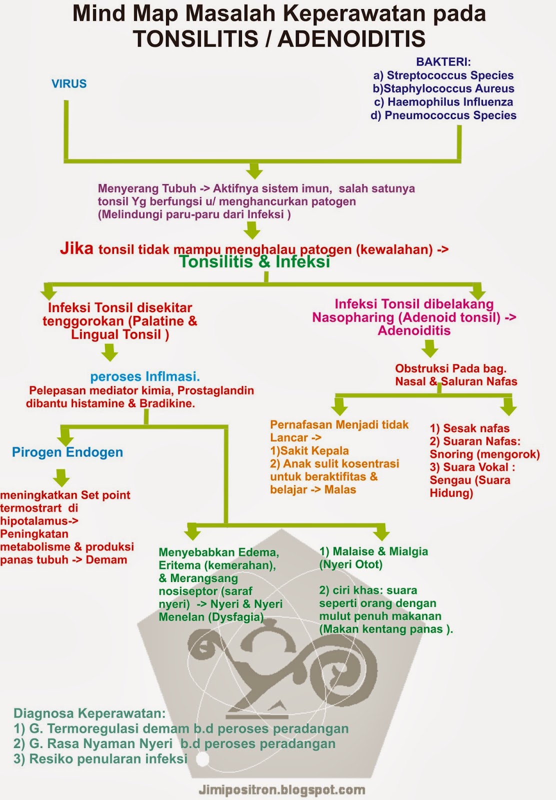 Radang Amandel (Tonsilitis / Adenoiditis)
