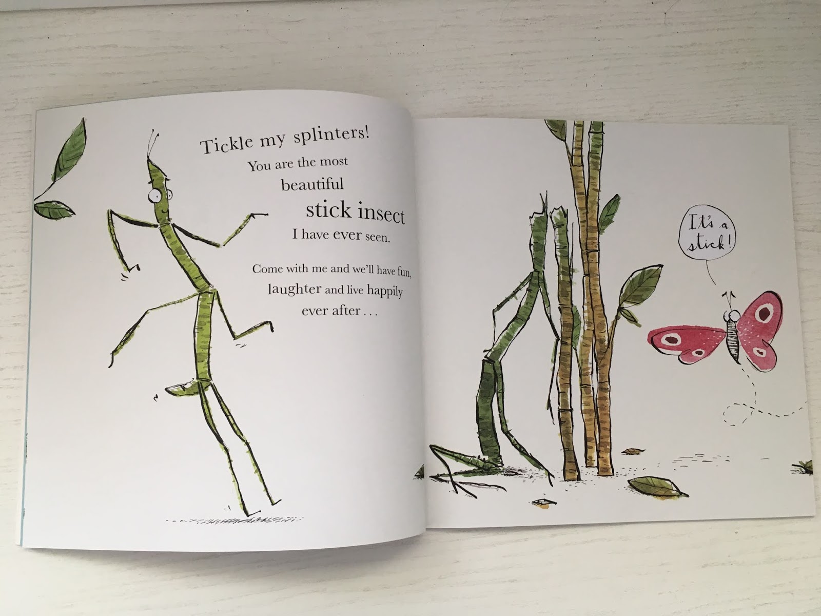 Space On The Bookshelf: ‘I Love You Stick Insect’ by Chris Naylor ...