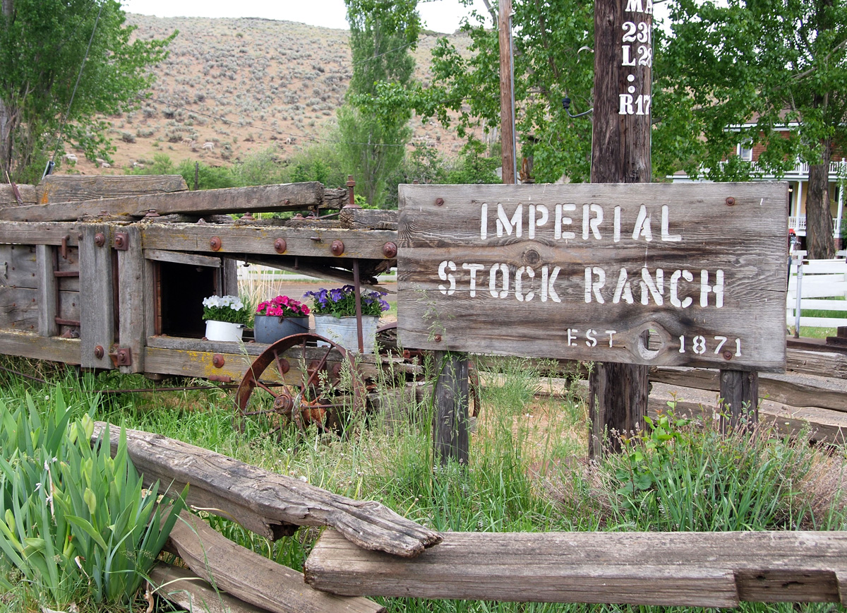 Fancy Tiger Crafts: A Wooltastic Visit to Imperial Stock Ranch--Shaniko ...