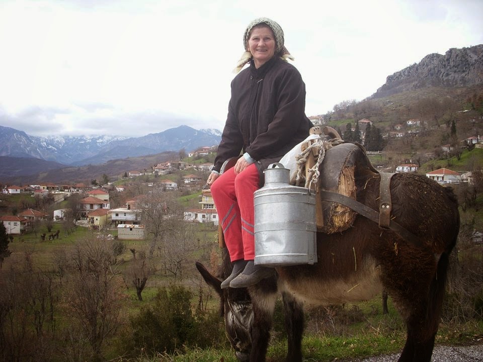 ΠΟΛΙΤΙΣΤΙΚΟΣ ΣΥΛΛΟΓΟΣ | ΠΟΡΤΗ ~ ΚΑΡΔΙΤΣΑΣ
