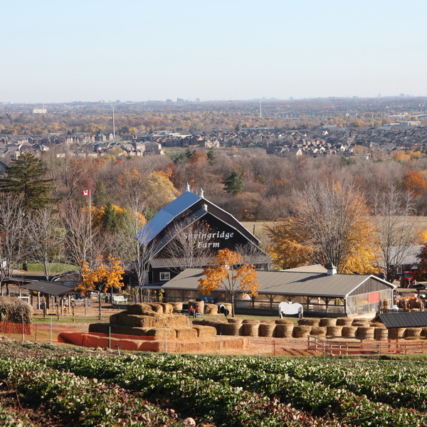 Discover Burlington Ontario: Burlington – the apple of our eye!