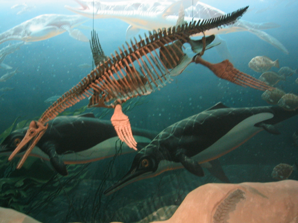 Superoceras: SVP 2011 (Day 3): Nerds in Nevada