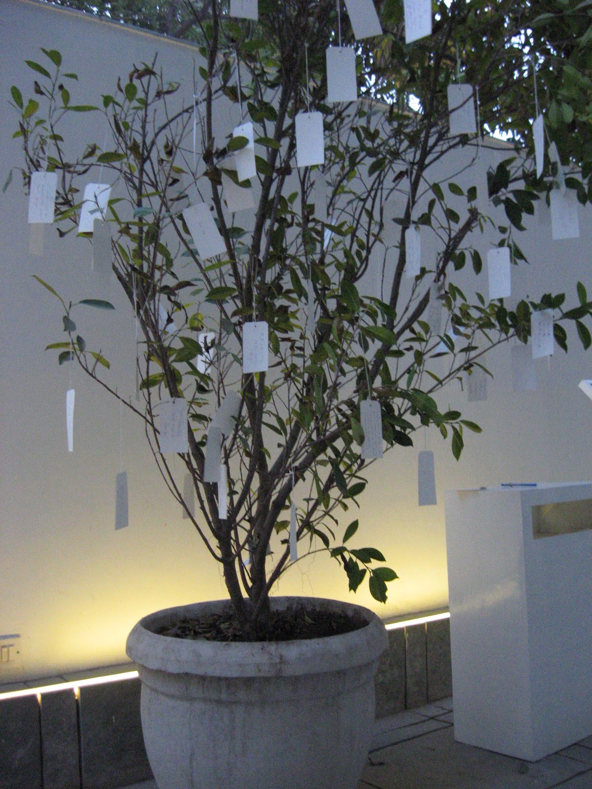 India-Japan: Passage to the Next Generation: Yoko Ono's Wish Tree