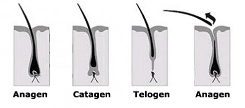 Understanding Aging and Mature Hair