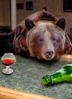 Greg's Bear Blog