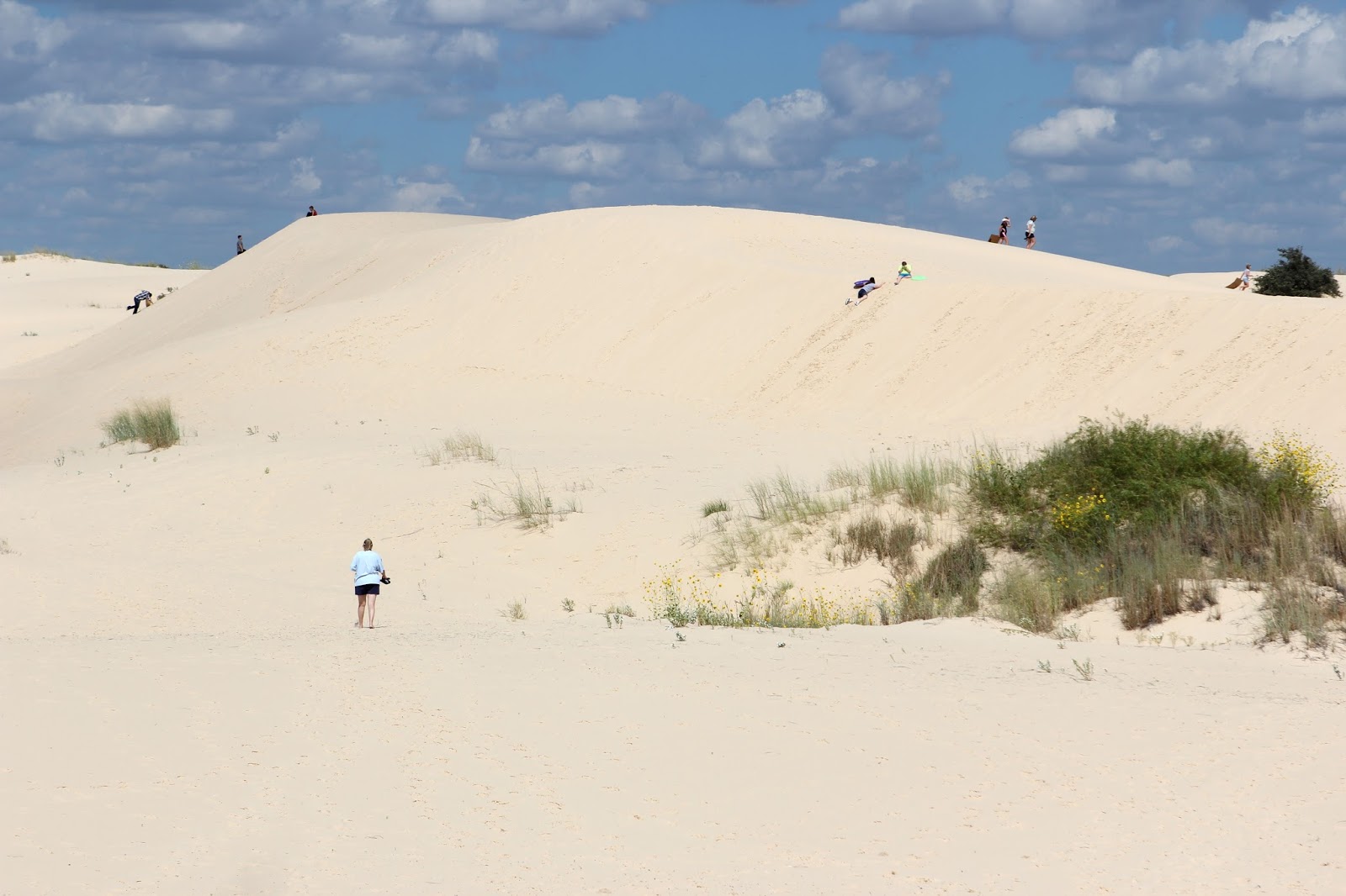 Life and Coconuts: Discover the Ethereal Beauty of Monahans Sandhills ...