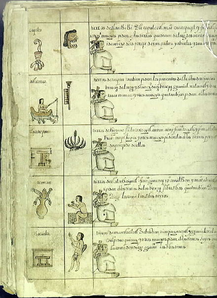 De lo humano a lo divino: CODEX AZTECAS,LOS CÓDICES DE MESOAMERICA