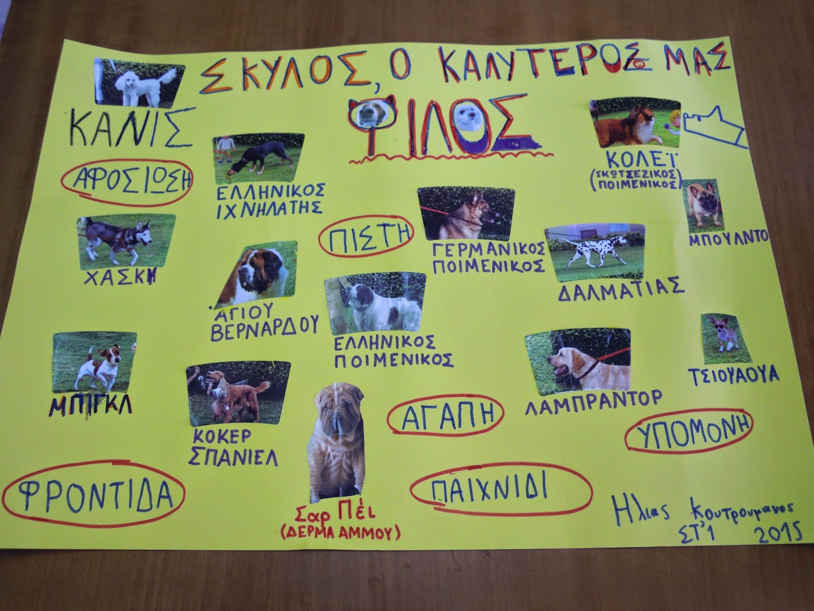 1ο Δημοτικό Σχολείο Αστακού Αιτωλοακαρνανίας: ΠΡΟΤΑΣΕΙΣ ΓΙΑ ΤΑ ΑΔΕΣΠΟΤΑ ...