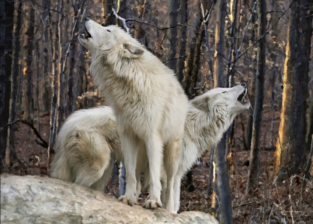 Inglés Cada Día: Plural Nouns to Remember