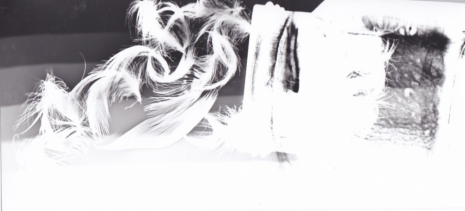 Graphic Design Blog: Photography Darkroom Workshop 1 - Rayograms