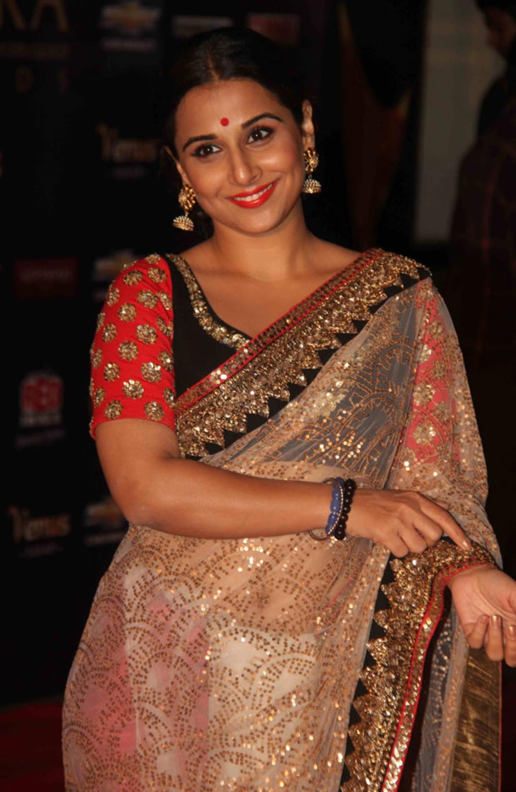 actress pics: Bollywood actress Vidya balan Saree stills looking hot ...