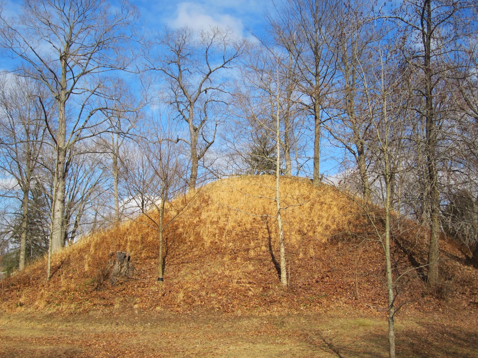 Beware of the Rug: Hopewell earthworks -- Marietta Mounds