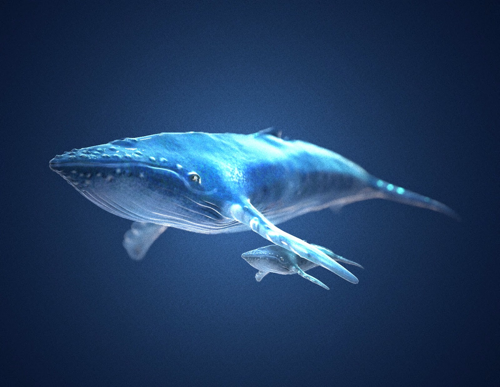 The 3d Blogger: A story of alien, whales and beauty...