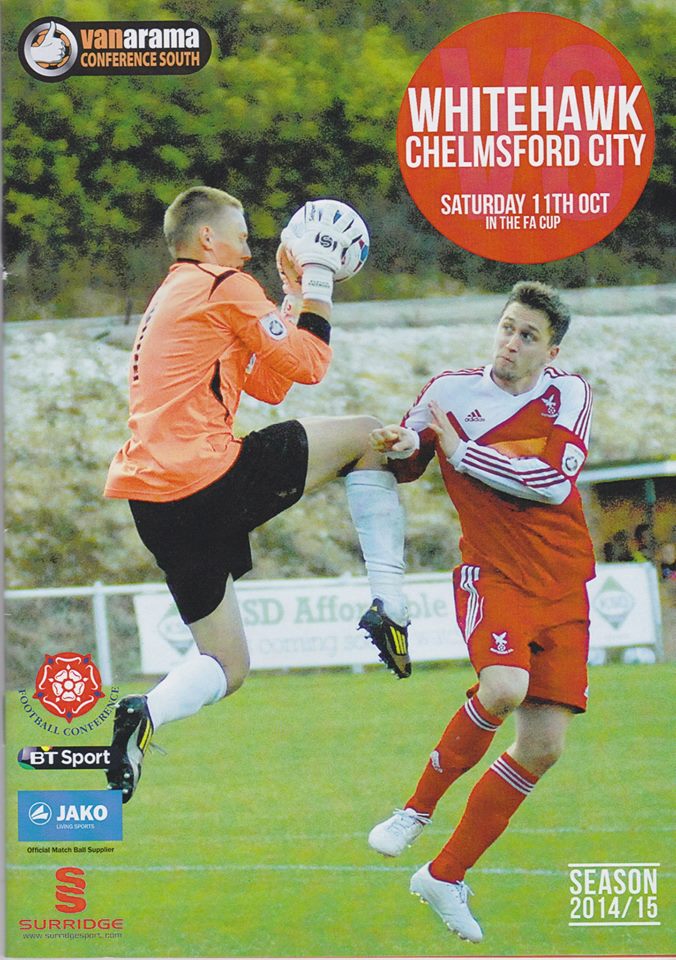 The Wycombe Wanderer: Whitehawk - The Enclosed Ground