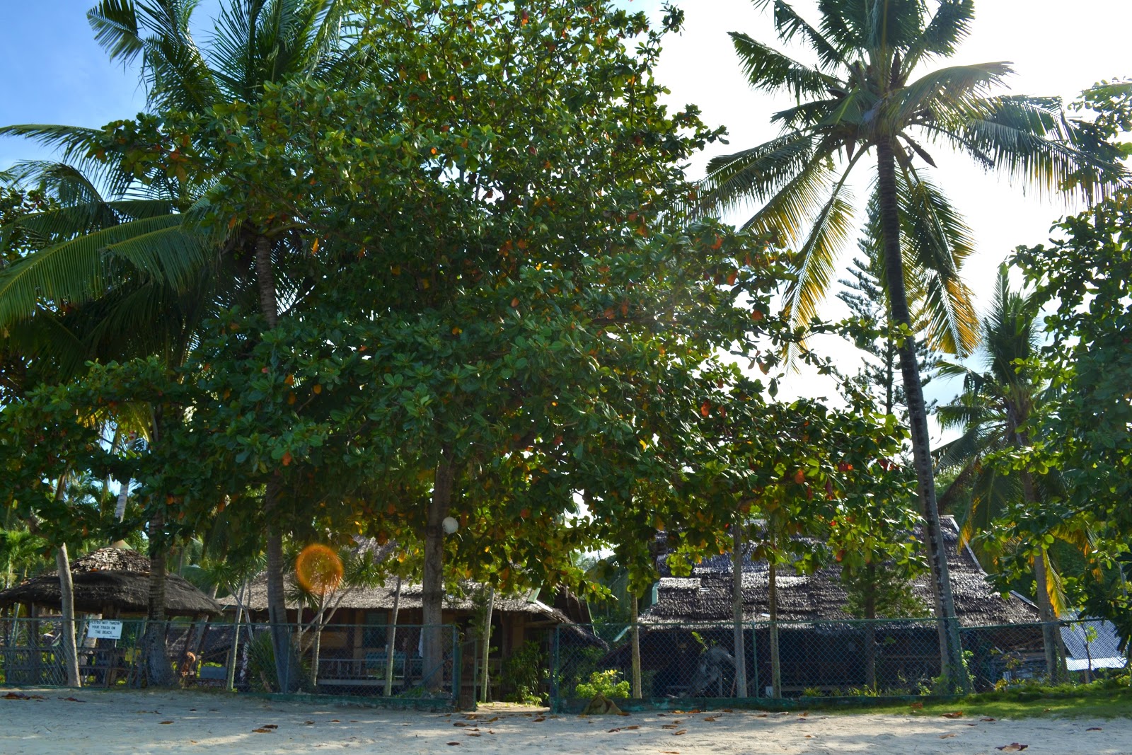 The Artful Archer: TRAVEL | Lambug Beach, Badian Cebu