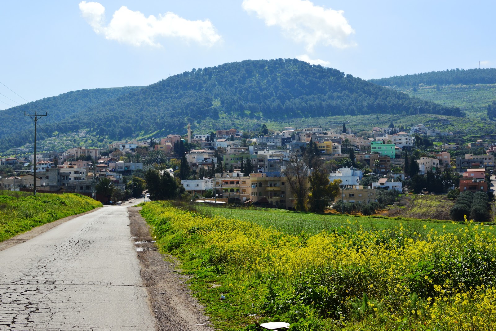 Stan's Notes: February 2013