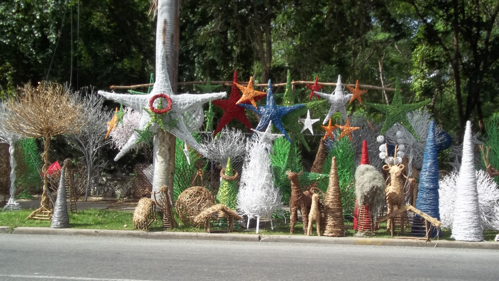 Elder and Sister Snow: Christmas in the Dominican Republic