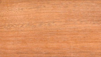 Aserradero San Sebastian: Variedades de Madera