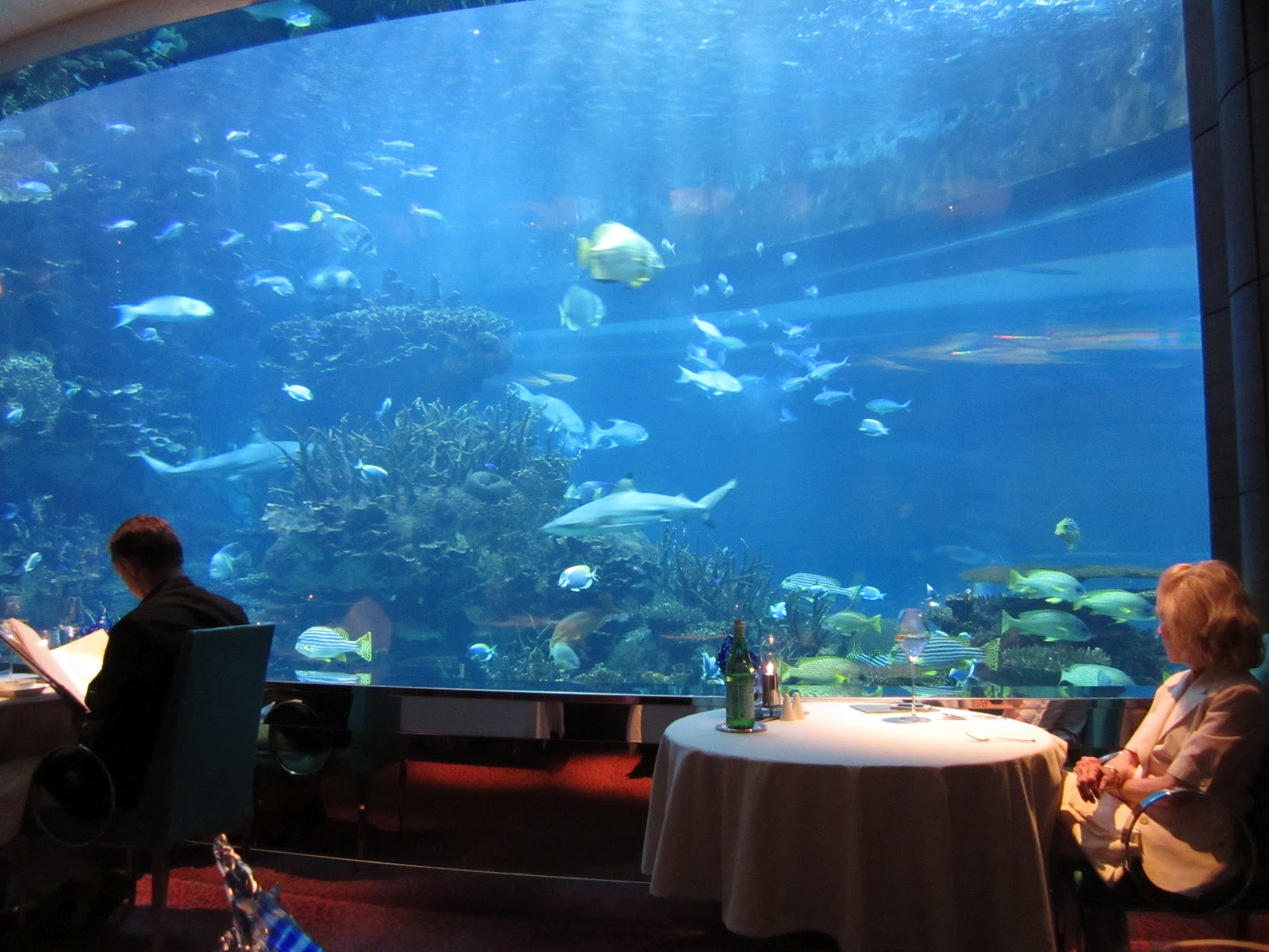 Dubai Post 20: Dining under the Sea at Al Mahara