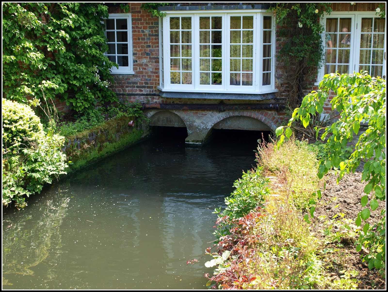 Mark's Veg Plot: Dipley Mill