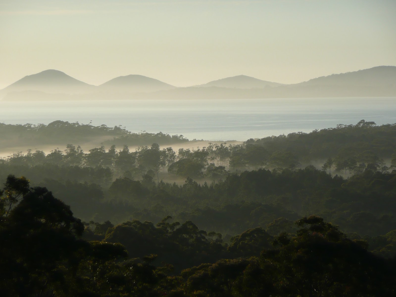 Coastal Properties Australia