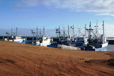 Gallivantour: Wallaroo