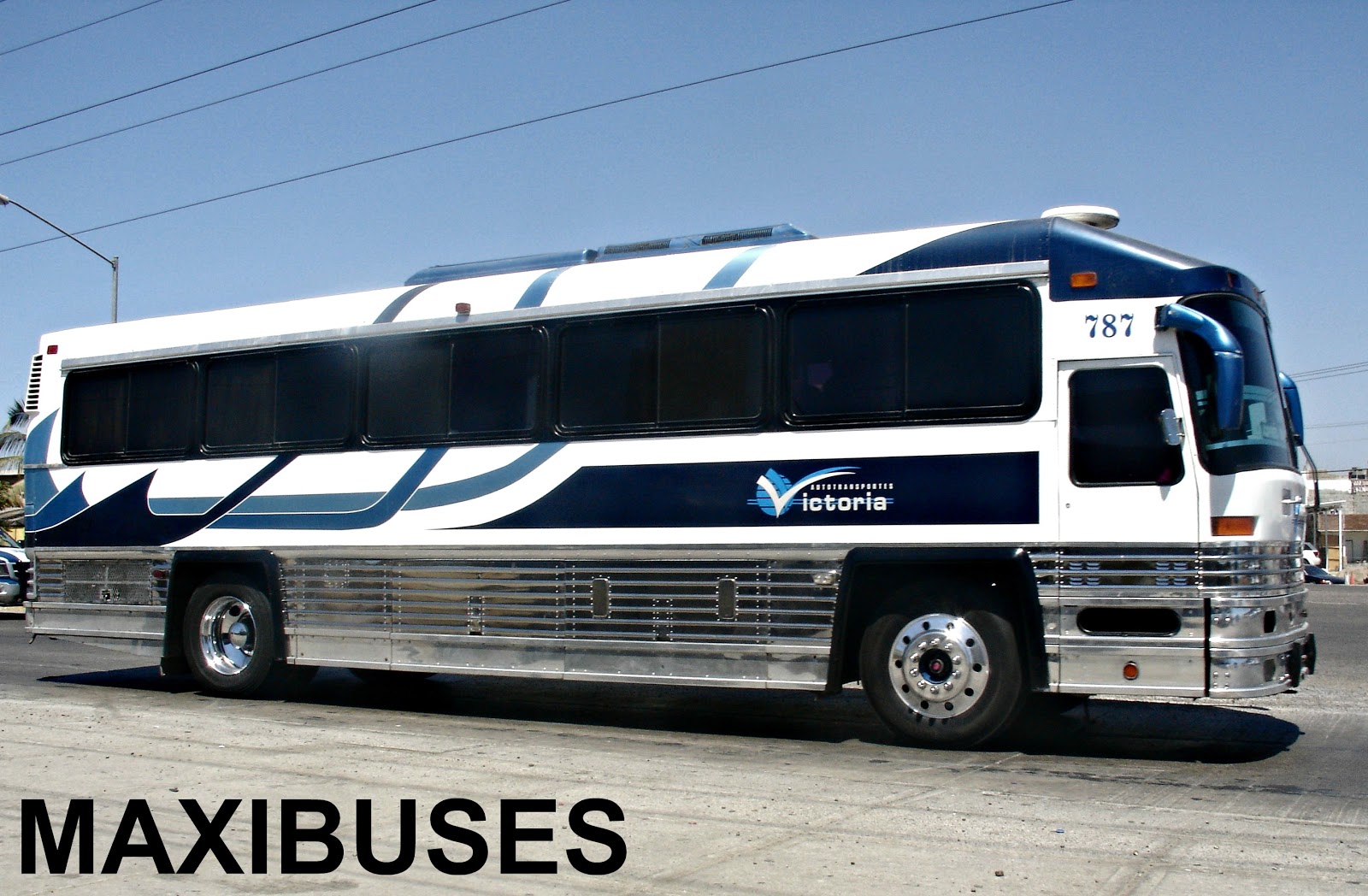 MAXIBUSES: AUTOTRANSPORTES VICTORIA