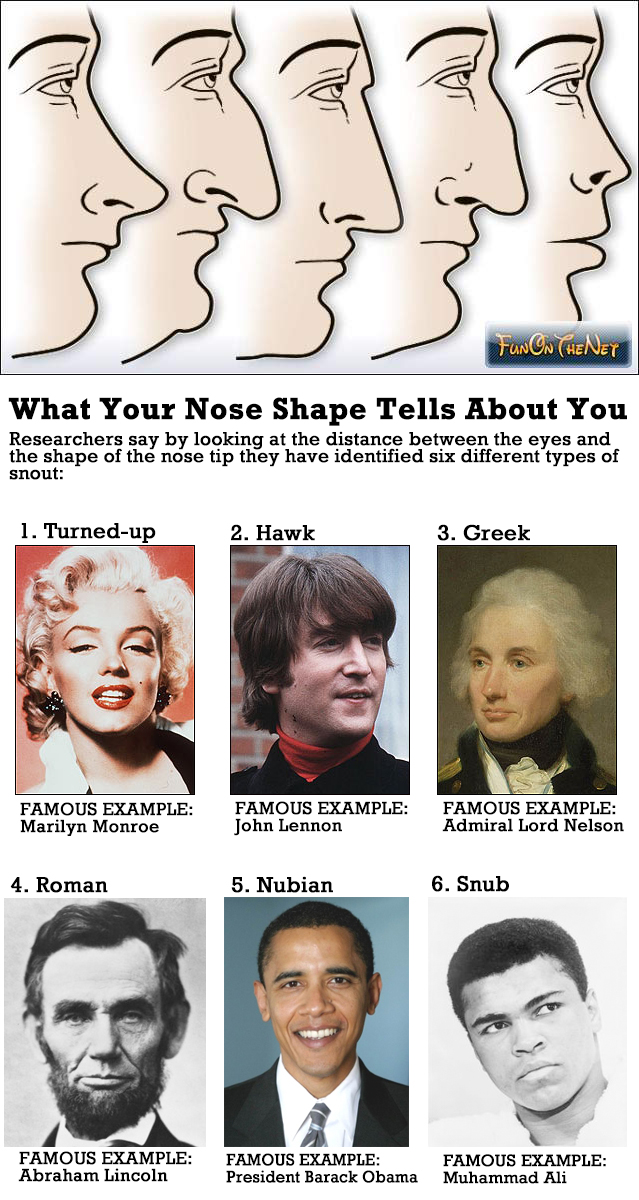What Your Nose Shape Tells About You? - About Ur Futurity