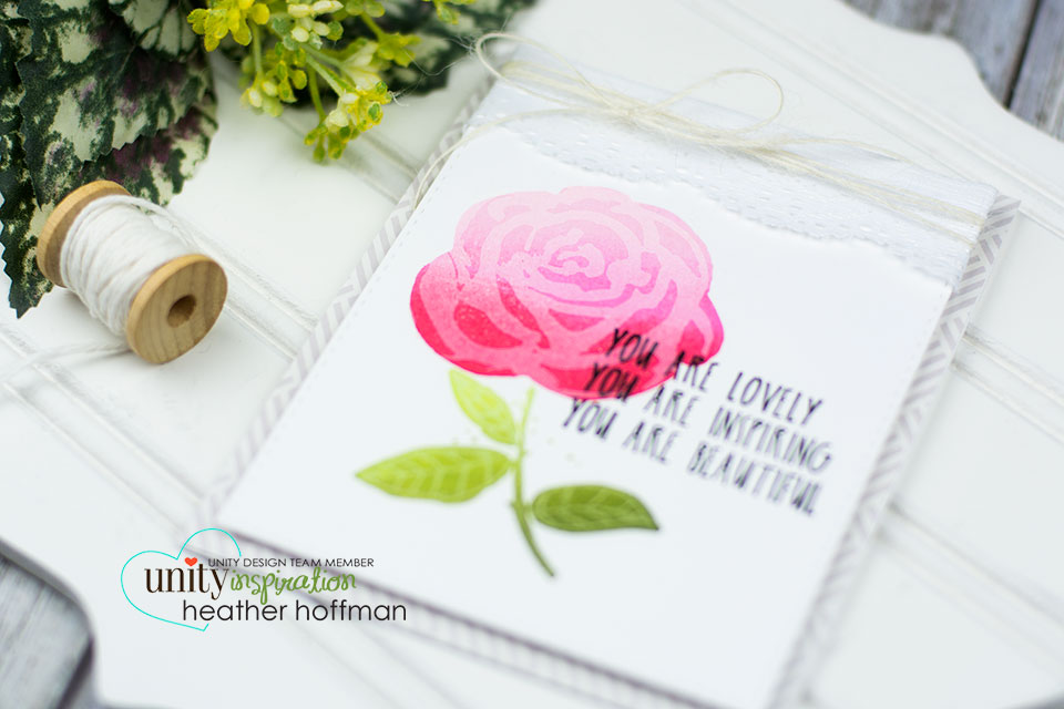 Houses Built of Cards: Ombre and Pigment Ink Roses