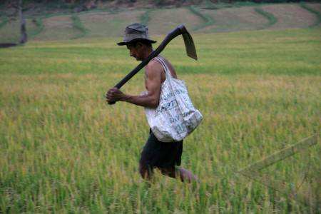 Pertanian Tradisional ~ esemka pertanian