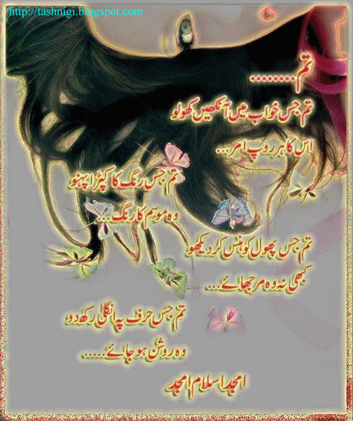 TASHNIGI: Picture Shair-o-Shairy GIF