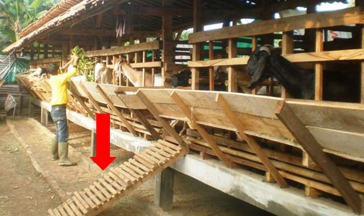 Sejarah Penamaan Desa Anjatan Indramayu - Sejarah Cirebon