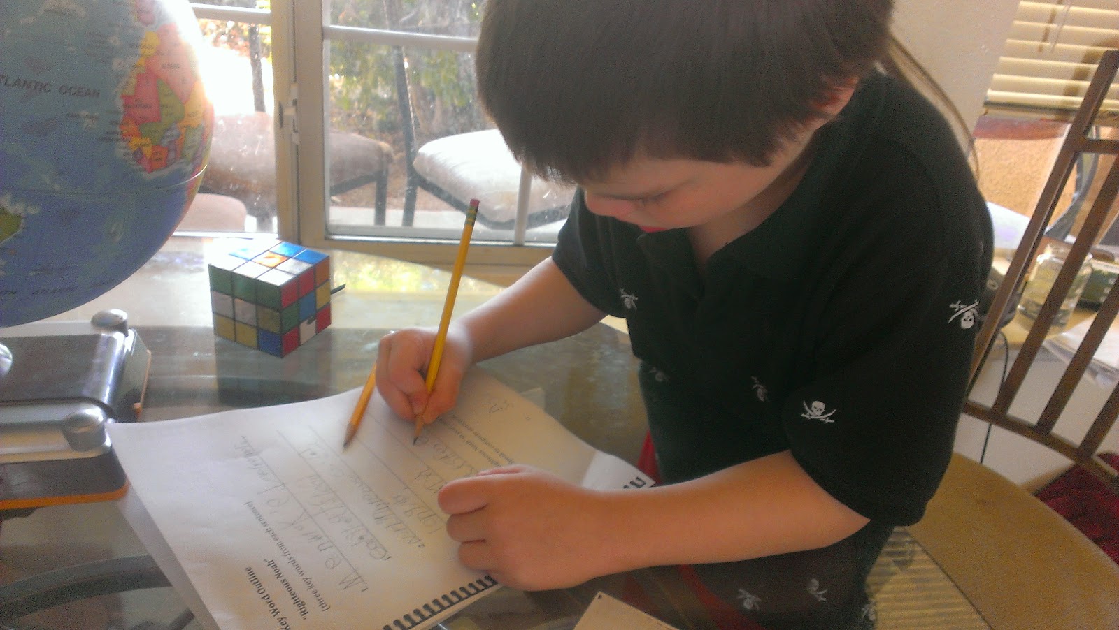 Counting Pinecones: Institute for Excellence in Writing (IEW) - (A ...