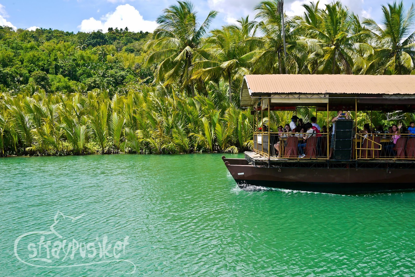 Bohol-Cebu Chronicles: Bohol Countryside Tour