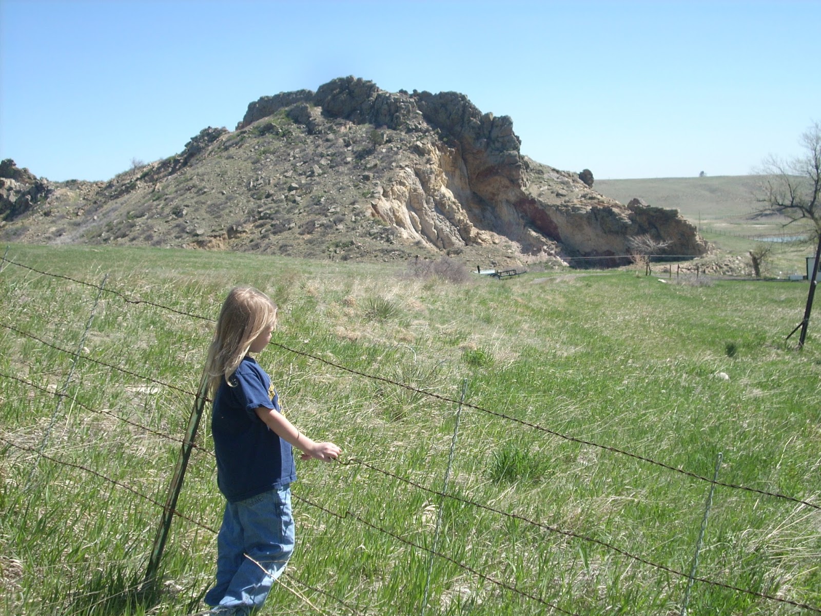 Explore Colorado: Boulder Foothills ~ After Spring Rains