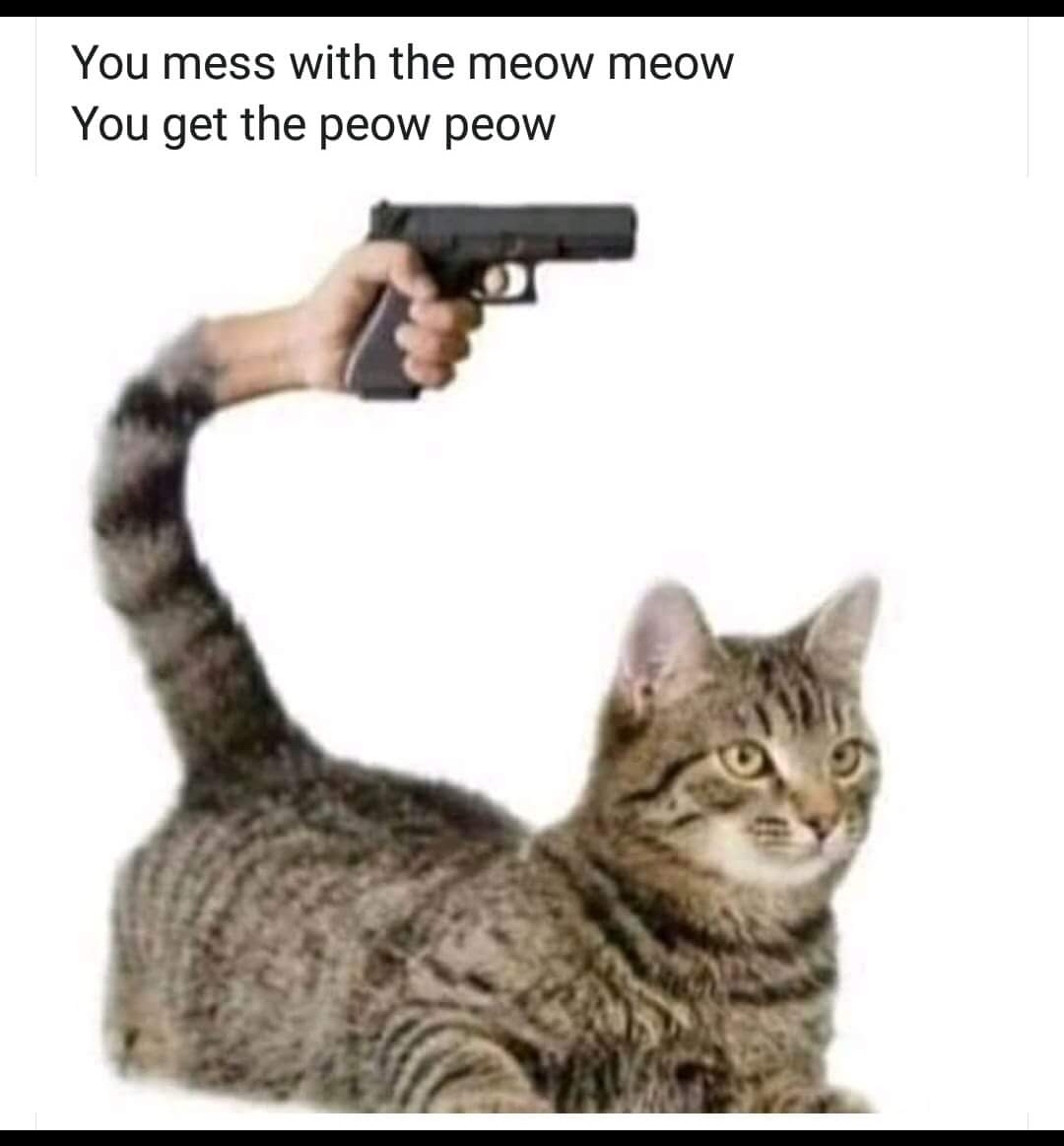 8FREE: BEST MEMES 2018