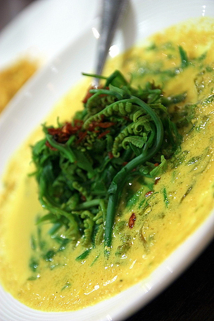 Dee: Dancing Fish, BSC