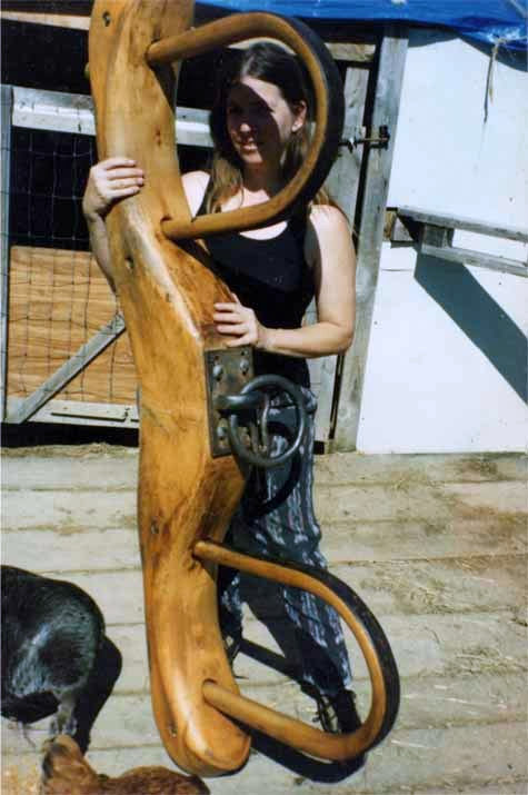 storybrookeripples: ox and dog blog: Ox Team's Yoke Weighs Over 90 Pounds