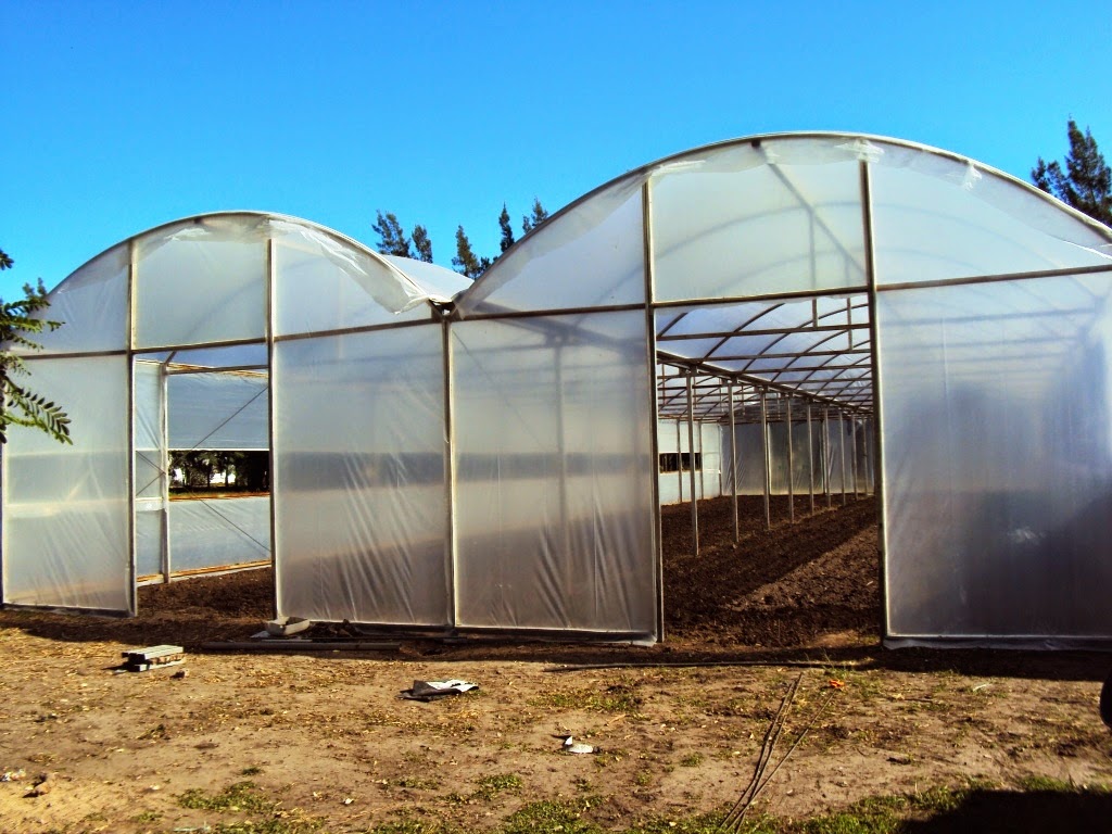 AGROREVISTA: NOS ACERCAMOS...