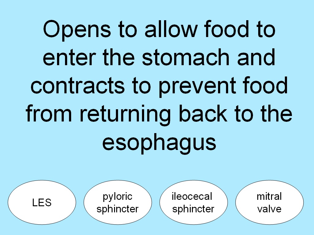 Student Survive 2 Thrive: Free Medical Terminology Practice Test ...