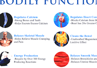 Magnesium In Biology - Functions Of Magnesium In The Human Body